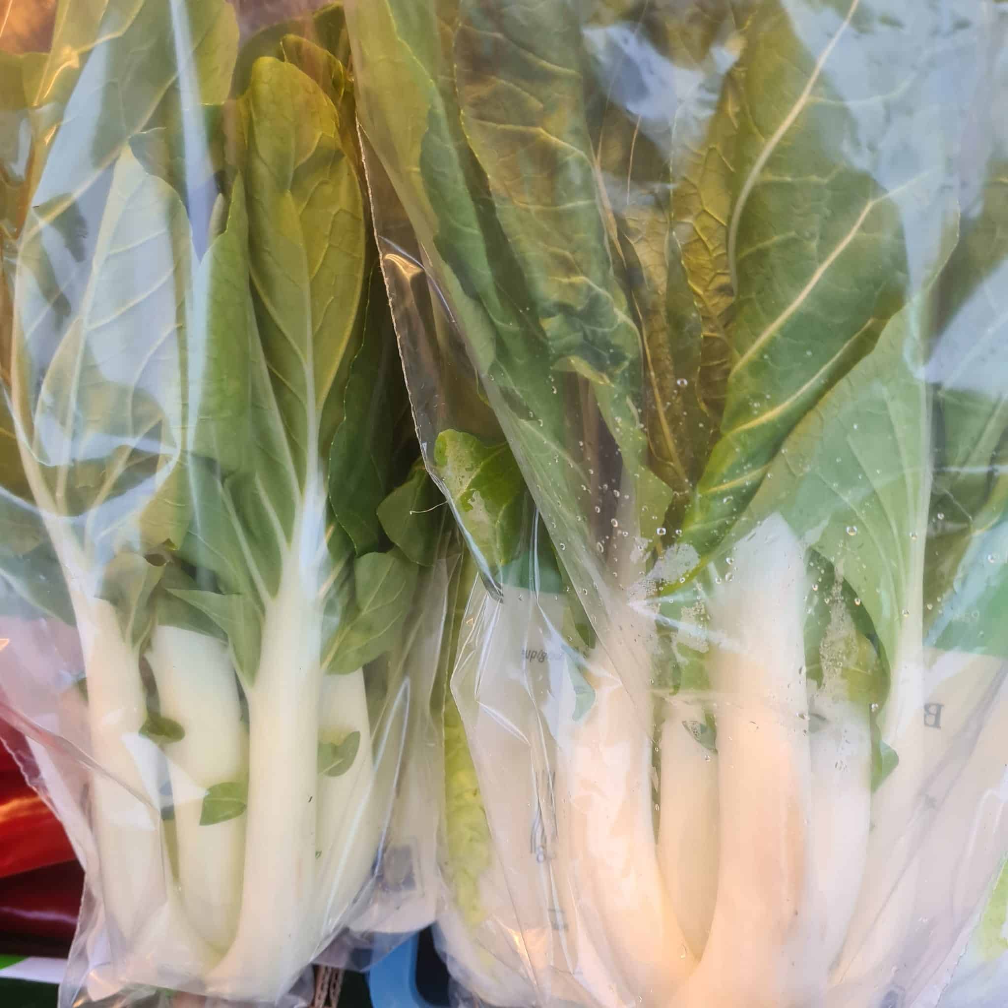 Paksoi - Veggiebasket